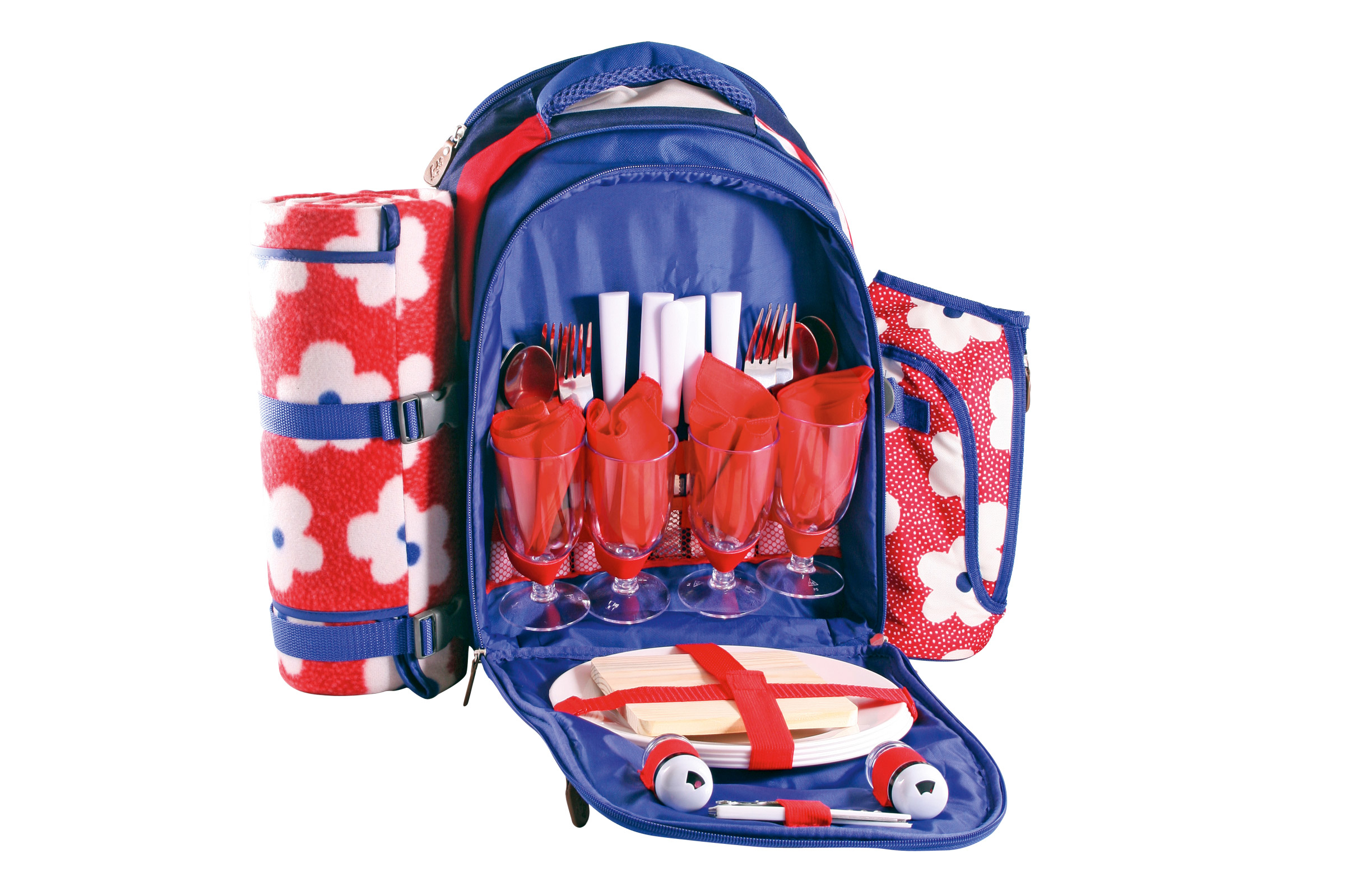 Next 4 Person Stripe Backpack | Auto Express