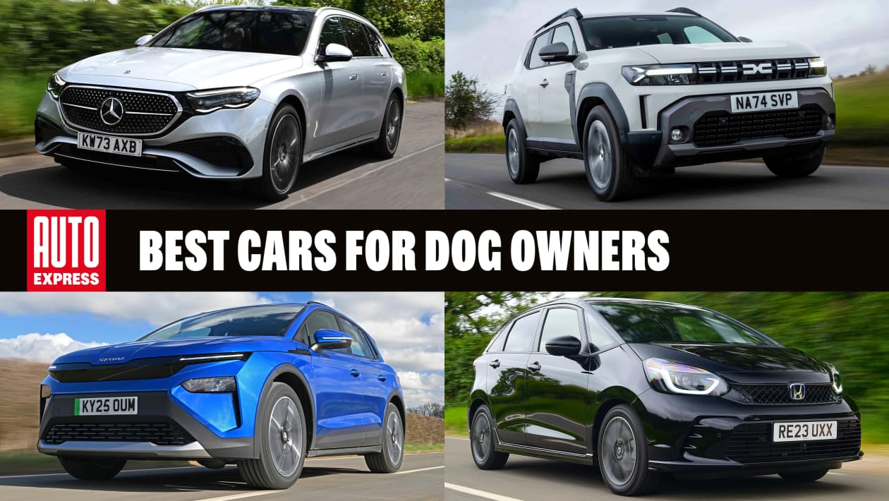 Best cars for dog owners to buy 2025 | Auto Express